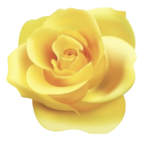 About Us – Zonta Club of Metropolitan Dunedin